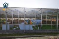China Single Side Fixed Roof Vent Multi Span PE Film Greenhouse with Insect Net Integration... for sale