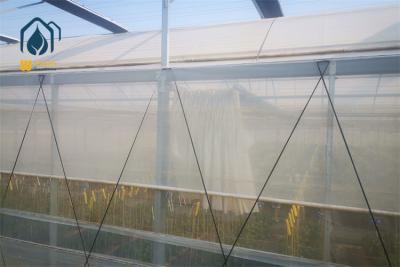 China Natural Ventilation Sawtooth Design Multi Span Greenhouse for Tropical Climate WELLGAIN Agricultural Greenhouse Solution for sale