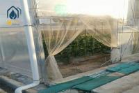 China Natural Ventilation Sawtooth Design Multi Span Greenhouse for Tropical Climate WELLGAIN Agricultural Greenhouse Solution for sale