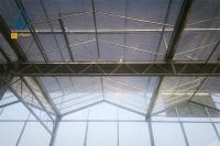 China Motorized Roof Vent Multi Span Greenhouse with Side Roll-Up Ventilation Windows... for sale