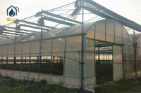 China Gothic Arch Multi Span Greenhouse with High Roof Space for Vertical Farming WELLGAIN Agricultural Greenhouse Solution for sale