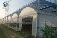 China Multi Span Tunnel Greenhouse 9.6m Width Commercial Farming Solution Custom Length... for sale