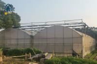 China Multi Span Tunnel Greenhouse 9.6m Width Commercial Farming Solution Custom Length... for sale
