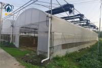 China Double Layer UV Resistant PE Film Greenhouse with Superior Thermal Insulation WELLGAIN Agricultural Greenhouse Solution for sale
