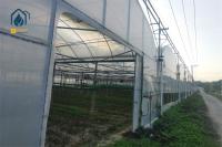 China Double Layer UV Resistant PE Film Greenhouse with Superior Thermal Insulation WELLGAIN Agricultural Greenhouse Solution for sale