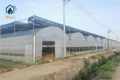 China Anti-Aging UV Stabilized Polyethylene Film Covered Greenhouse with 5 Year Film Warranty... for sale