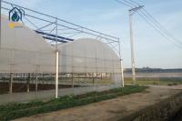 China Anti-Aging UV Stabilized Polyethylene Film Covered Greenhouse with 5 Year Film Warranty... for sale