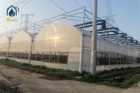 China UV Resistant 200 Micron PE Film Multi Span Greenhouse for High Altitude Farming... for sale