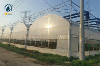 China Large Hot-Dip Galvanized Steel Structure Multi Span Greenhouse with 15-20 Year Lifespan... for sale