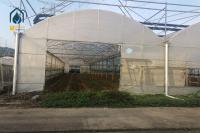 China Large Hot-Dip Galvanized Steel Structure Multi Span Greenhouse with 15-20 Year Lifespan... for sale