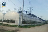 China Corrosion Resistant 275gsm Zinc Coated Galvanized Steel Frame Film Greenhouse WELLGAIN Agricultural Greenhouse Solution for sale
