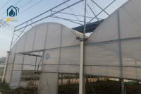 China Corrosion Resistant 275gsm Zinc Coated Galvanized Steel Frame Film Greenhouse WELLGAIN Agricultural Greenhouse Solution for sale