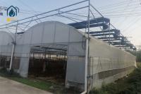 China Heavy Duty Hot-Dip Galvanized Steel Multi Span Greenhouse for Commercial Vegetable Farm... for sale