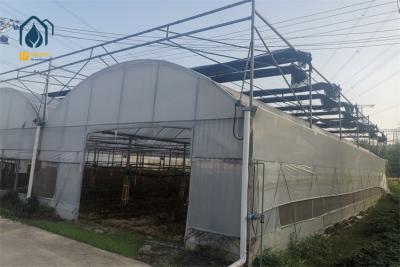 China Heavy Duty Hot-Dip Galvanized Steel Multi Span Greenhouse for Commercial Vegetable Farm... for sale