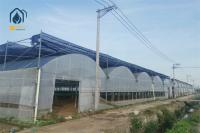 China Multi Span Film Greenhouse for Commercial Flower Cultivation for sale