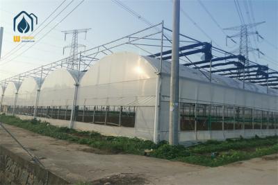 China Multi Span Greenhouse with Pad and Fan Cooling System for Hot Climate for sale