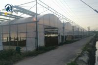 China Multi Span Greenhouse with Integrated Drip Irrigation and Fertigation System for sale