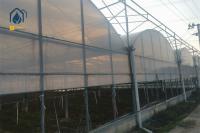 China Multi Span Greenhouse with Integrated Drip Irrigation and Fertigation System for sale