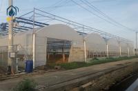 China Multi Span Greenhouse with Hot Water Heating System for Cold Climate for sale