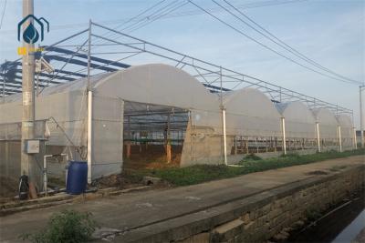 China Multi Span Greenhouse with Hot Water Heating System for Cold Climate for sale