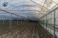 China Multi Span Greenhouse with Hot Water Heating System for Cold Climate for sale