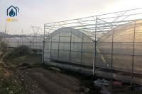 China Commercial Multi Span Film Greenhouse with Automatic Ventilation System for sale
