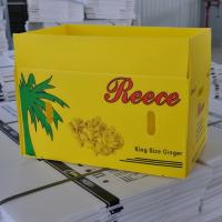 China Vegetable Corrugated Plastic Packaging Coroplast Reusable Corrugated Boxes for sale