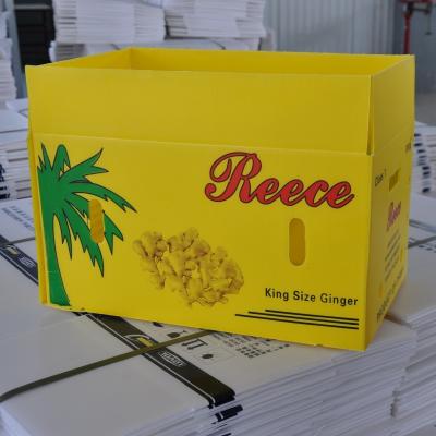 China Vegetable Corrugated Plastic Packaging Coroplast Reusable Corrugated Boxes for sale