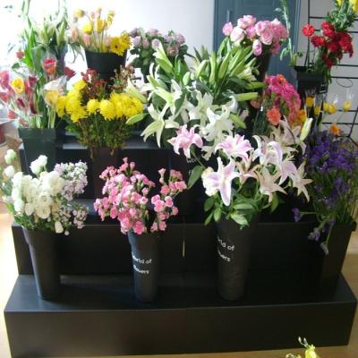 China Black Corflute Floral Display Stand PP 4 Step Flower Shop Display Equipment for sale