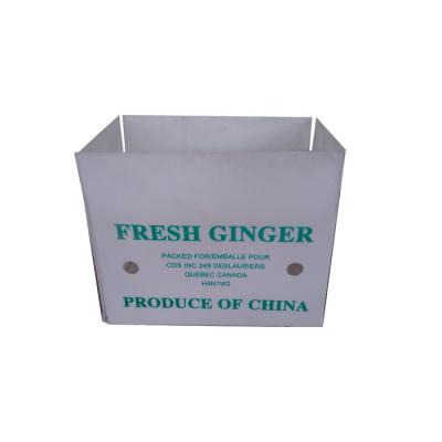 China Custom Coroplast Boxes 3mm 5mm Eco Friendly Corrugated Plastic Mail Tote for sale