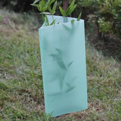 China 2mm Corflute Plastic Tree Trunk Wrap Green Plastic Tree Guards for sale