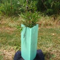 China Corflute Corrugated Plastic Tree Wrap 2mm Hard Plastic Tree Guards for sale