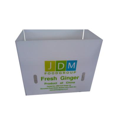 China White 4mm Vegetable Packaging Box Reusable Corrugated Plastic Boxes for sale