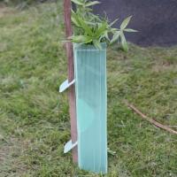 China Green PP Hollow Corflute Tree Guard Biodegradable Tree Shelters for sale
