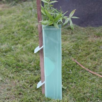 China Green PP Hollow Corflute Tree Guard Biodegradable Tree Shelters for sale