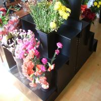 China Black Corflute Sheets Floral Stand Antistatic Retail Floral Display Racks for sale