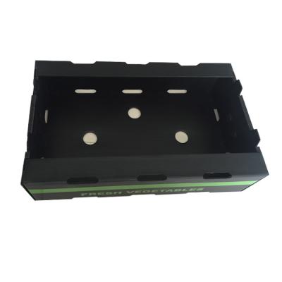 China Full Color Coroplast Shipping Boxes 3mm 4mm Collapsible Corrugated Plastic Boxes for sale