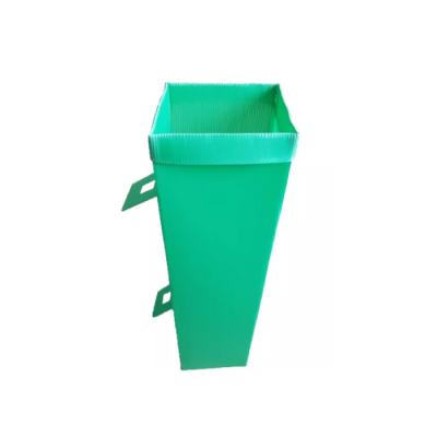 China PP 4mm Corflute Tree Guard Polypropylene Outdoor Plastic Tree Wrap for sale