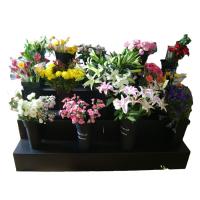 China PP Polypropylene Flower Display Stand Black Corflute 8mm Thickness for sale
