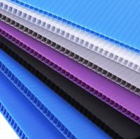 China Washable 2mm PP Corflute Sheet Recyclable Blue Coroplast Board for sale