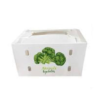 China Foldable Coroplast Tomato Packaging Boxes Reusable Vegetable Packing Box for sale