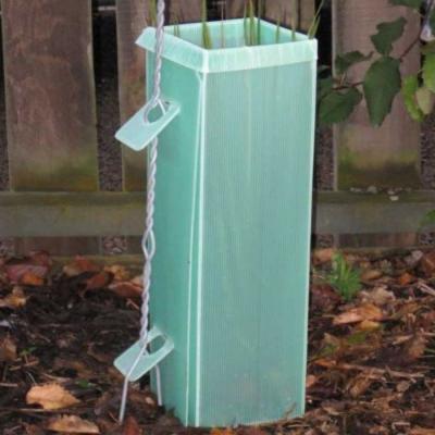 China Polypropylene Plastic Tree Guard Corflute Vine Protectors Anti Impact for sale