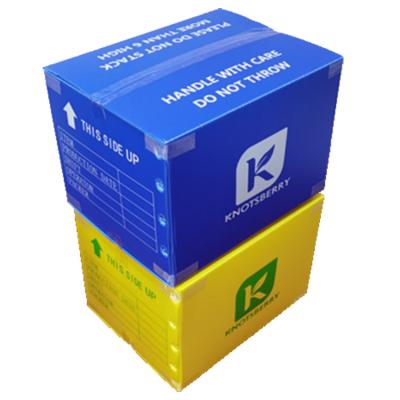 China Polypropylene PP Corrugated Plastic Packing Box Lightweight Customized for sale