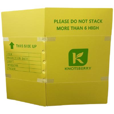 China PP Corrugated Plastic Box The Eco-Friendly Alternative to Traditional Materials for sale