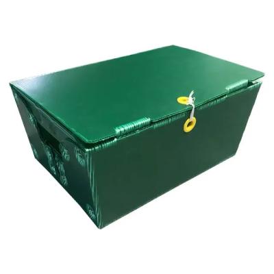 China Polypropylene Postal Mail Tote Corrugated Plastic Boxes Bins Rigid Customized With Handles for sale