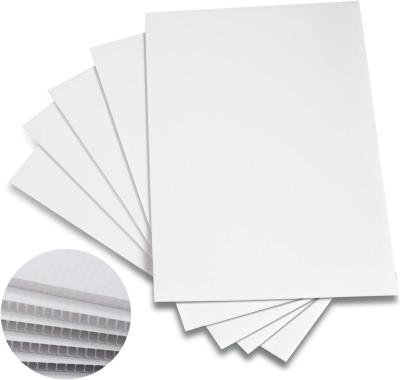 China Advertising Polypropylene Coroplast Sheet Recycled Rigid Fluted Board for sale