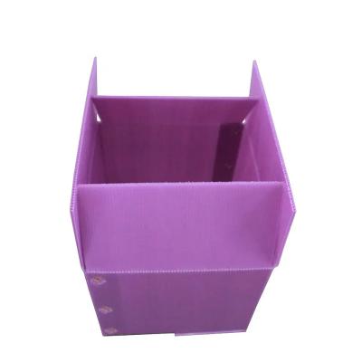 China Rigid Lightweight Vegetable Packaging Box Corrugated Plastic Storage Box for sale