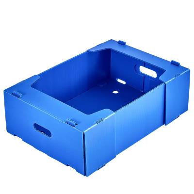 China Fruit Storage Transportation Corrugated Plastic Box Polypropylene Fruit Packing Box for sale