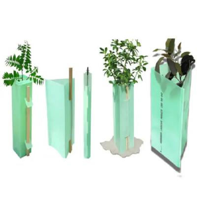 China Polypropylene Corrugated Plastic Tree Guard Protector Sapling From Rodents Bites for sale