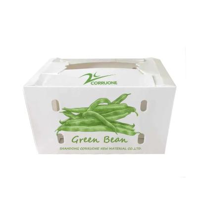 China Vegetable Packaging Box engineered to maintain freshness and extend shelf life with moisture resistant and weather proof design for sale
